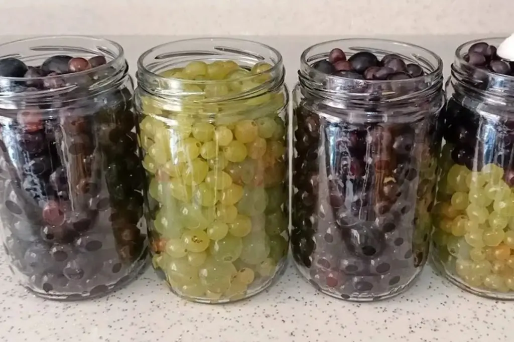 Comerás uvas todo el año | El proceso que no todos conocen | ¡Es muy ...