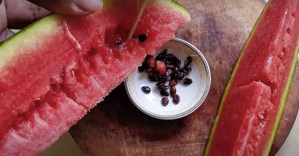 Semillas de sandía: 7 formas de utilizarlas en recetas – mi trucos caseros