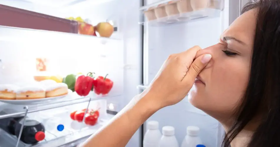 Malos olores en la nevera: ¡descubrí un método fantástico! – mi trucos caseros