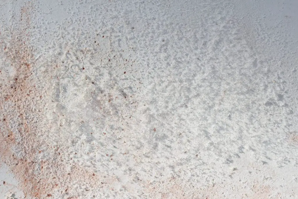 Moho blanco en las paredes: aprende a prevenirlo y eliminarlo – mi ...