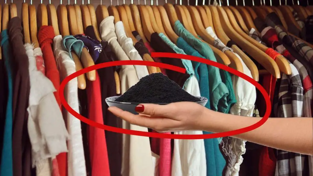 Carbón de chimenea, no lo tires: pocos conocen los beneficios si lo guardas en el armario – mi ...