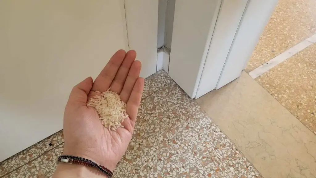 Colocar un puñado de arroz en los rincones de la casa: la antigua ...